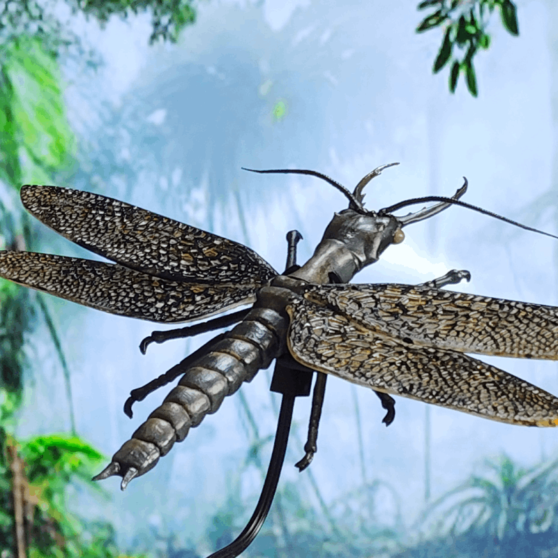 NW【オオキバヘビトンボ】 【学名：Acanthacorydalis】 – 3D DATA JAPAN