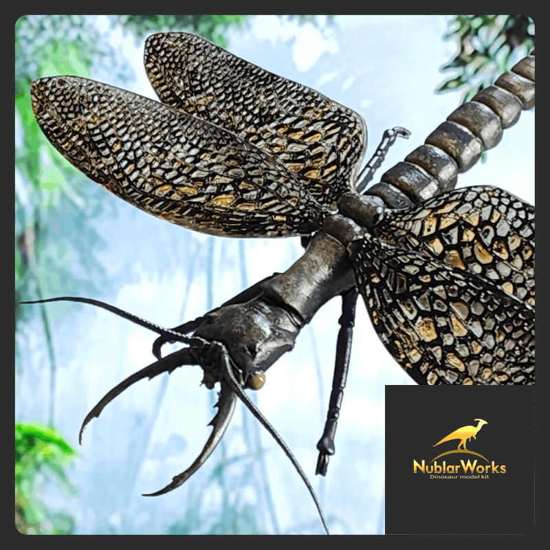 NW【オオキバヘビトンボ】 【学名：Acanthacorydalis】 – 3D DATA JAPAN